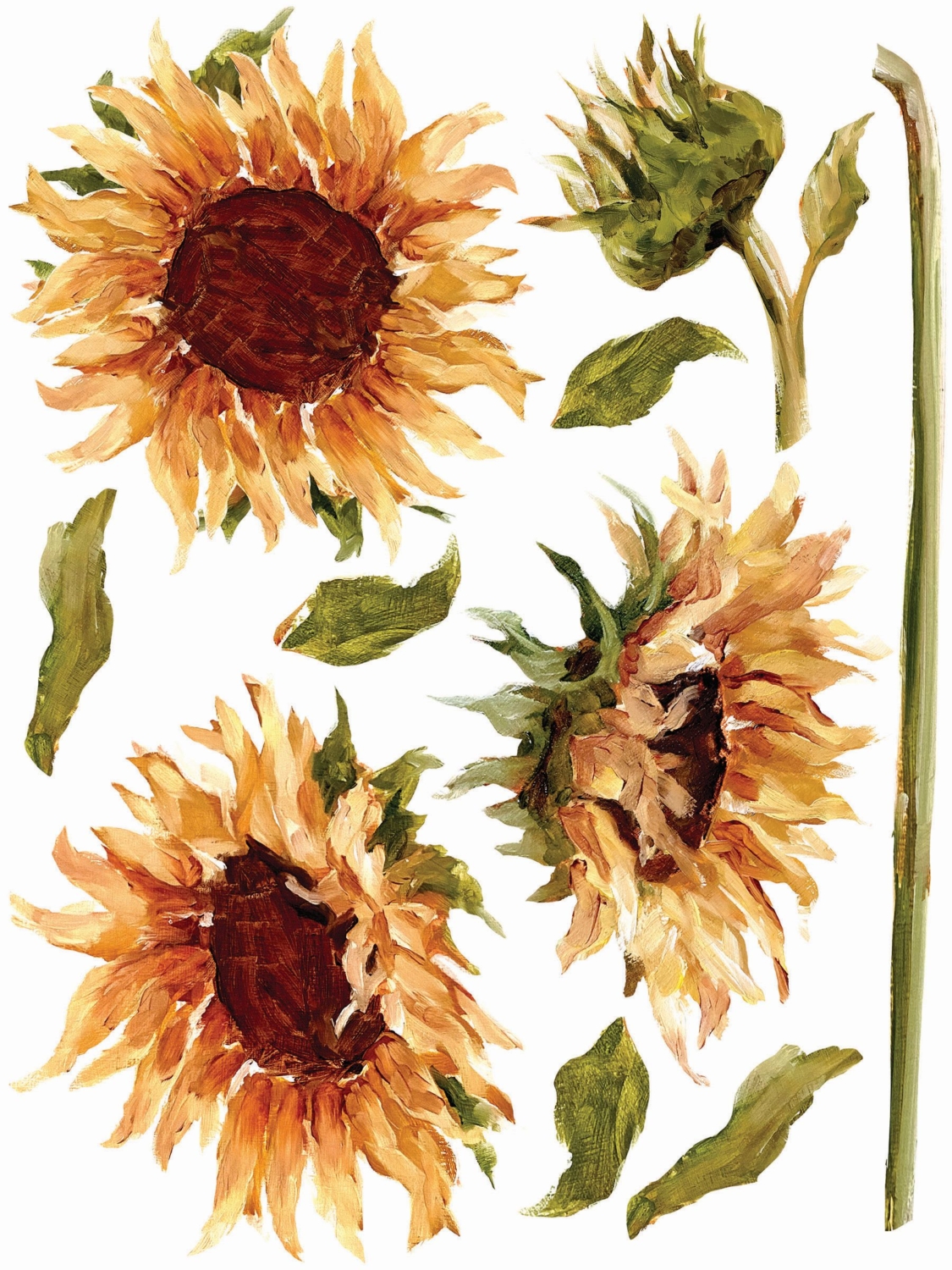 PAINTERLY FLORALS transfer decorativ IOD - set de 8 pagini A3 - Rouge ...